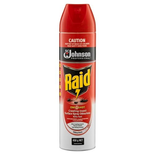 Raid 450g One Shot Pest Crawling Insect Surface Spray Odourless Kills ...