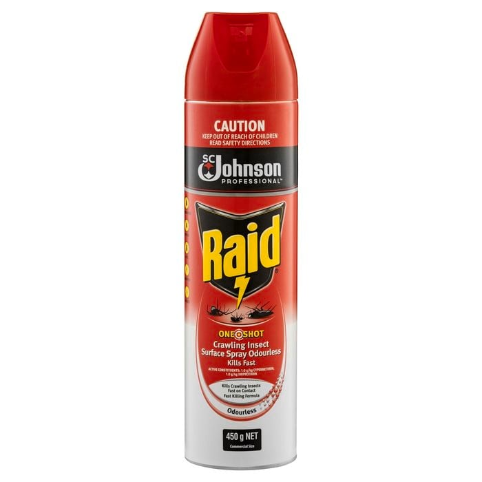 Raid 450g One Shot Pest Crawling Insect Surface Spray Odourless Kills ...