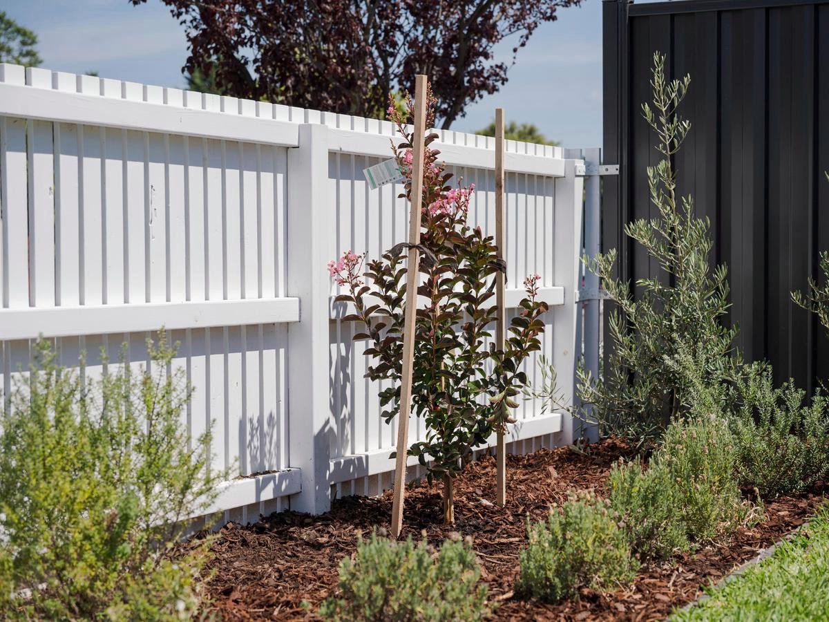 How To Plant A Tree - Bunnings Australia