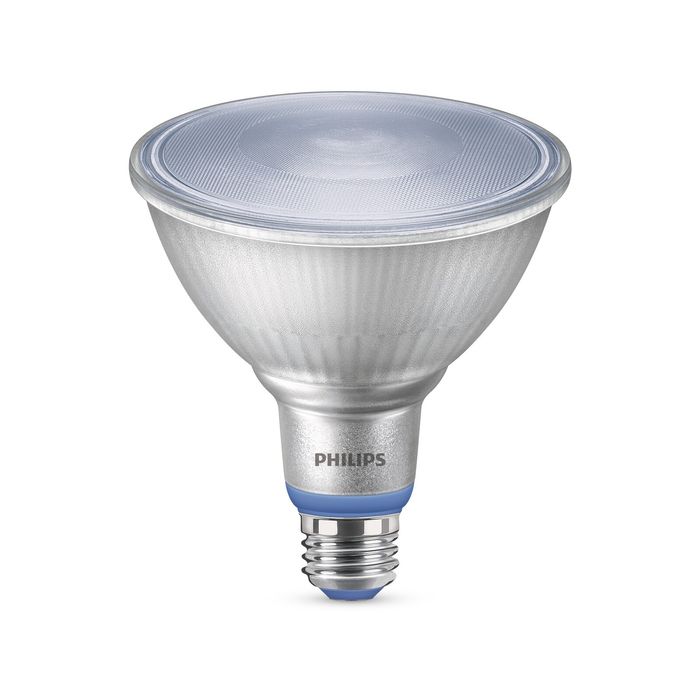 Philips 16W 1200lm E27 5000K 50D LED Par38 Grow Lamp - Bunnings New Zealand