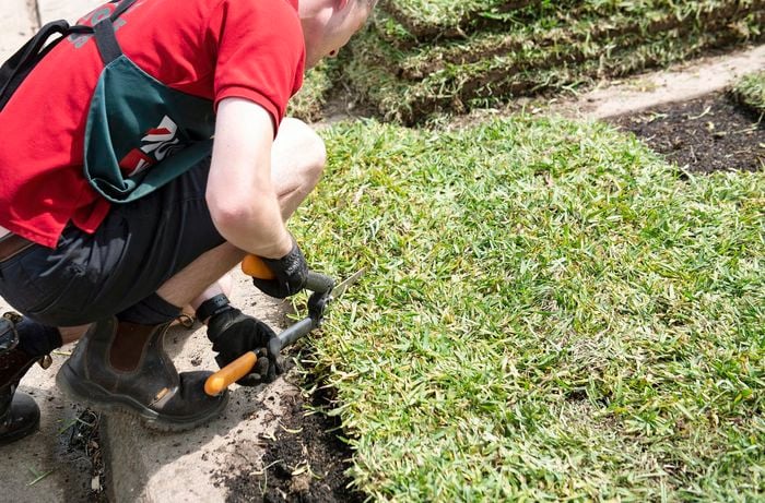 How To Lay Turf - Bunnings Australia