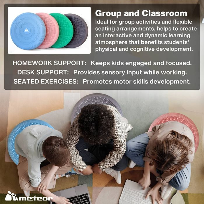 METEOR Blue Wobble Cushion Stability Disc - Bunnings Australia