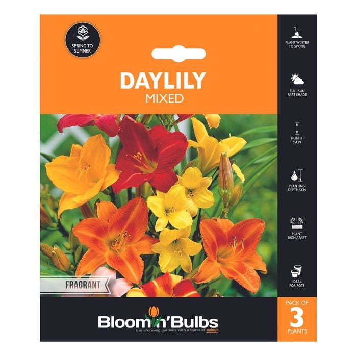 Bloomin Bulbs Daylily Mixed - 3 Pack - Bunnings Australia