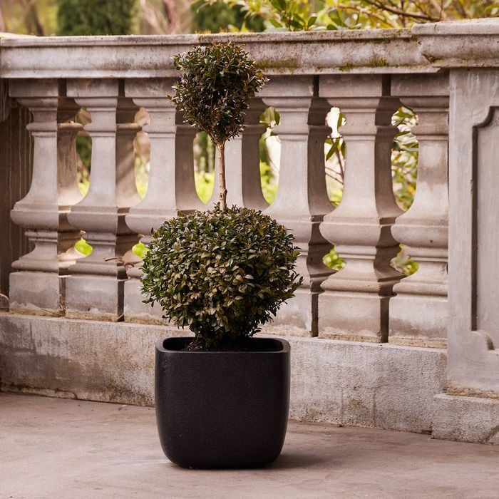 Northcote Pottery 31cm Black Precinct Lite Terrazzo Look Square Pot ...
