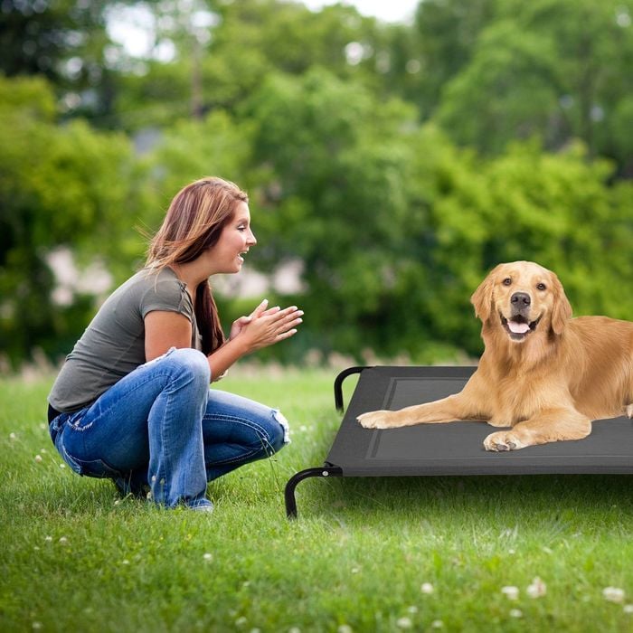 Costway 130x90x20cm Elevated Dog Bed Indoor Pet Sleep Mat Extra Large ...