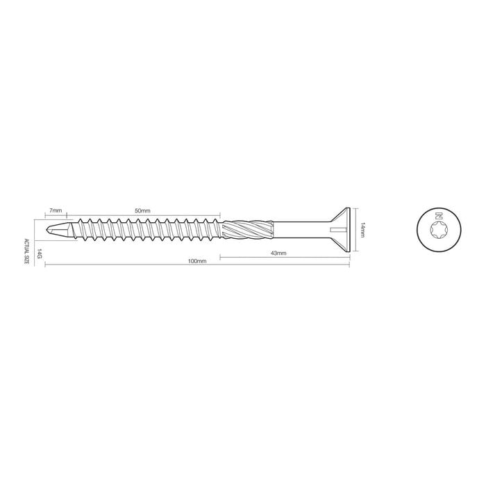 ZENITH 14G - 8 x 100mm Class 3 Galvanised Bugle Batten Screws - 500 ...