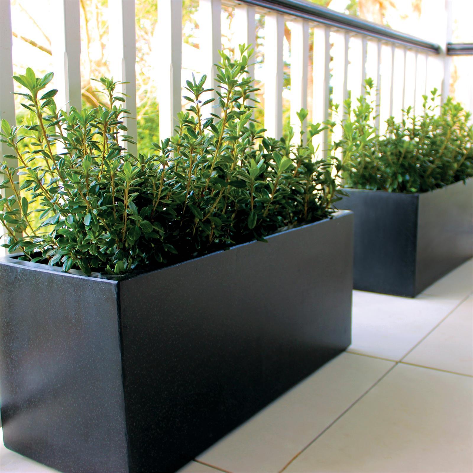 Northcote Pottery 80cm Black Terrazzo Look Precinct Lite Trough Bunnings Australia