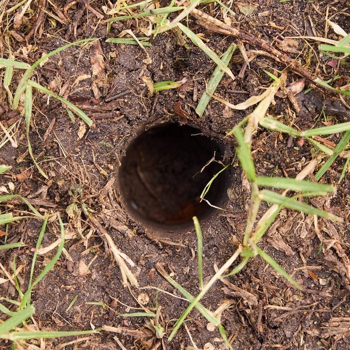Cyclone Soil and Lawn Plugger - Bunnings Australia