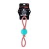 Paws & Claws 40cm Super Tuggers TPR Ball/Rope Double Tugger - Bunnings ...