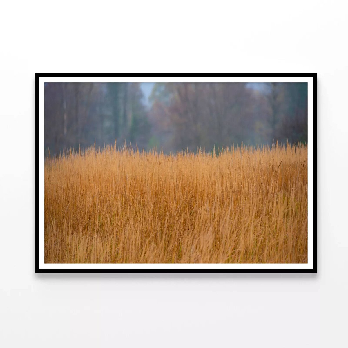 Grass in the Forest in Cloudy Print 100% Australian Made 120x90cm ...