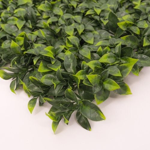 UN-REAL 50 x 50cm Pittosporum Artificial Hedge - Bunnings Australia
