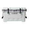 IGLOO 66L White IMX Cooler - Bunnings Australia