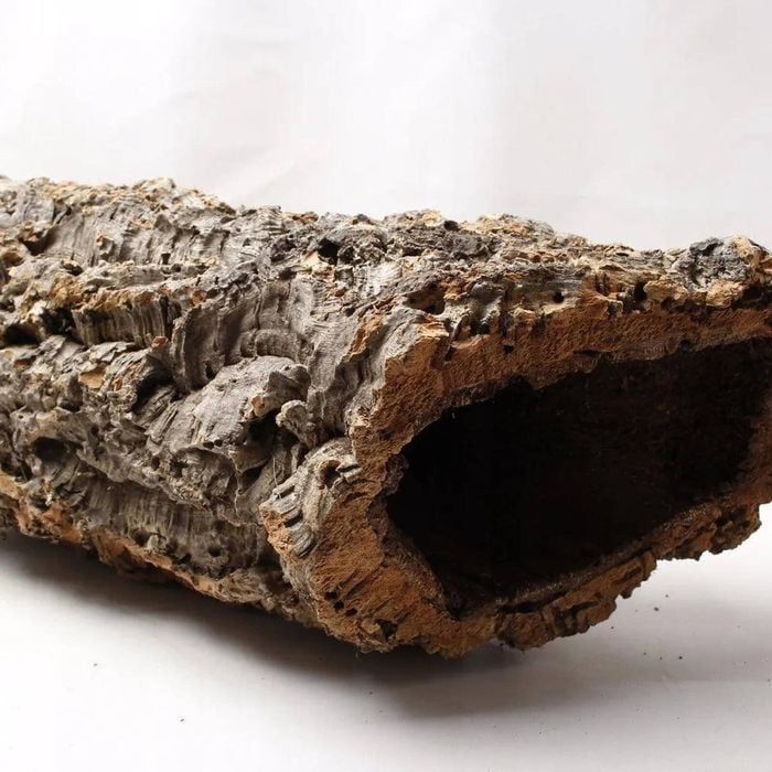 Cork Bark Hollow Medium Natural Terrarium Hide & Climbing Surface ...