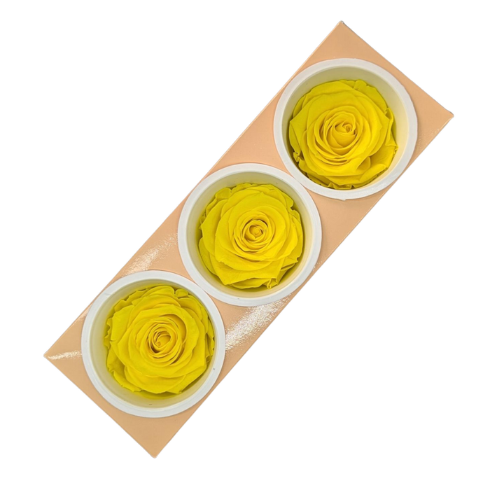 Blooms of Joy 6cm Canary Yellow Preserved Rose 3 Pack - Bunnings Australia