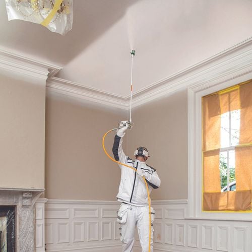Wagner SF21 Pro Paint Sprayer 2-in-1 Plus - Includes 24" Spray Tip ...