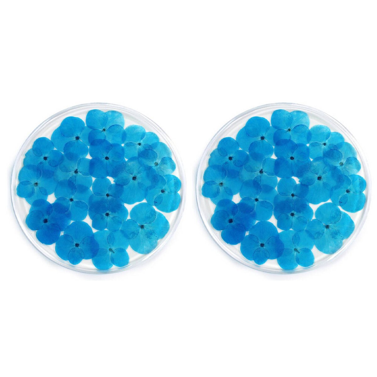 2PK Leni Handcrafted Resin Coaster Real Flower Hydrangea Blue ...