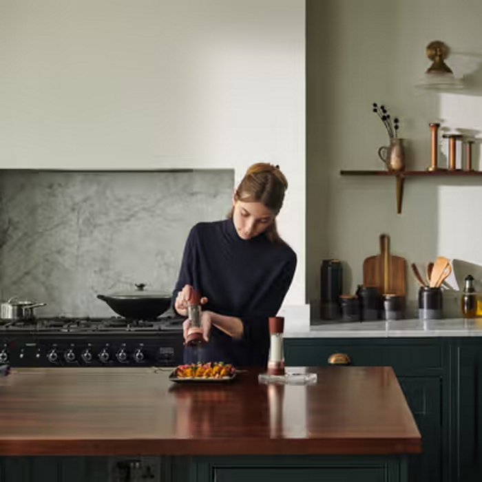 Cole & Mason Derwent 19cm Wood/acrylic Salt & Pepper Mill Set - Rose ...