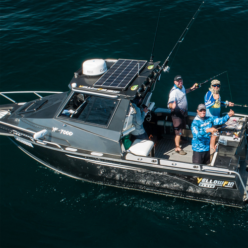 KT Solar 200W 12V Solar Panel Monocrystalline KT70729 - Bunnings Australia