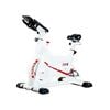 White Colour Exercise Spin Bike Home Gym Workout Equipment Cycling ...