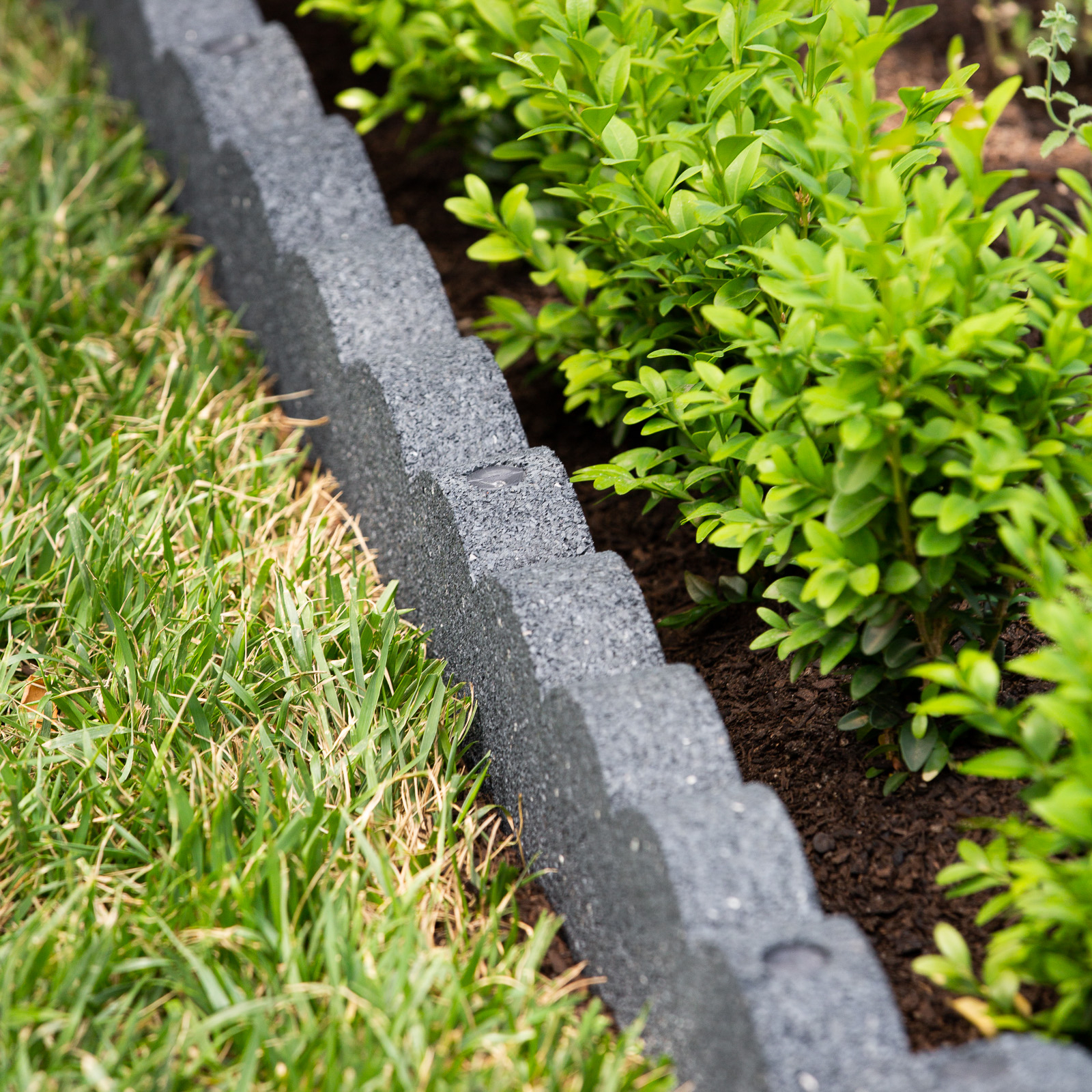 Garden edger bunnings store