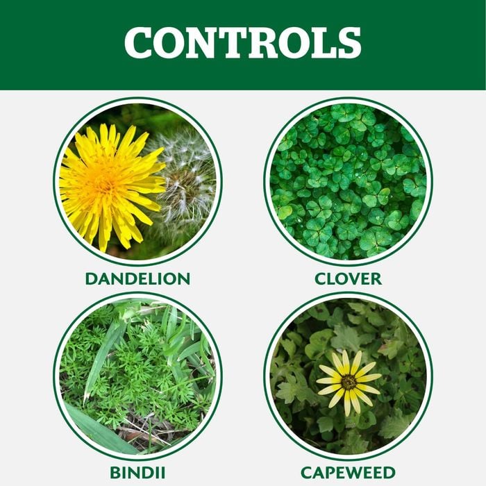 Yates 700ml Click And Grow Weed 'N' Feed Weed Killer And Lawn ...