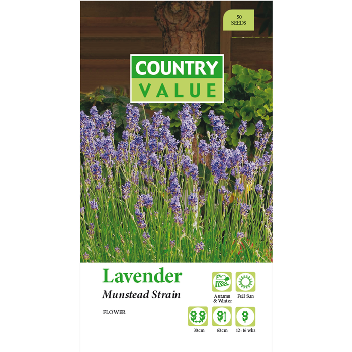 Country Value Lavendar Munstead Flower Seeds - Bunnings Australia