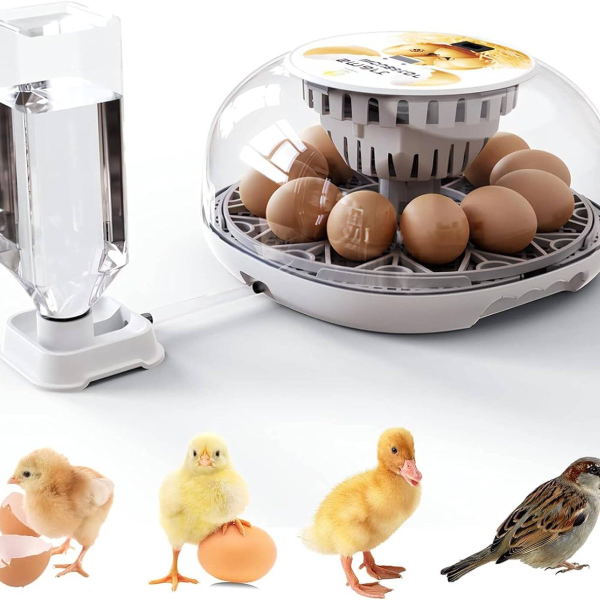 Fohoa 12 Eggs Digital Automatic Egg Incubator - Hatching Eggs With ...