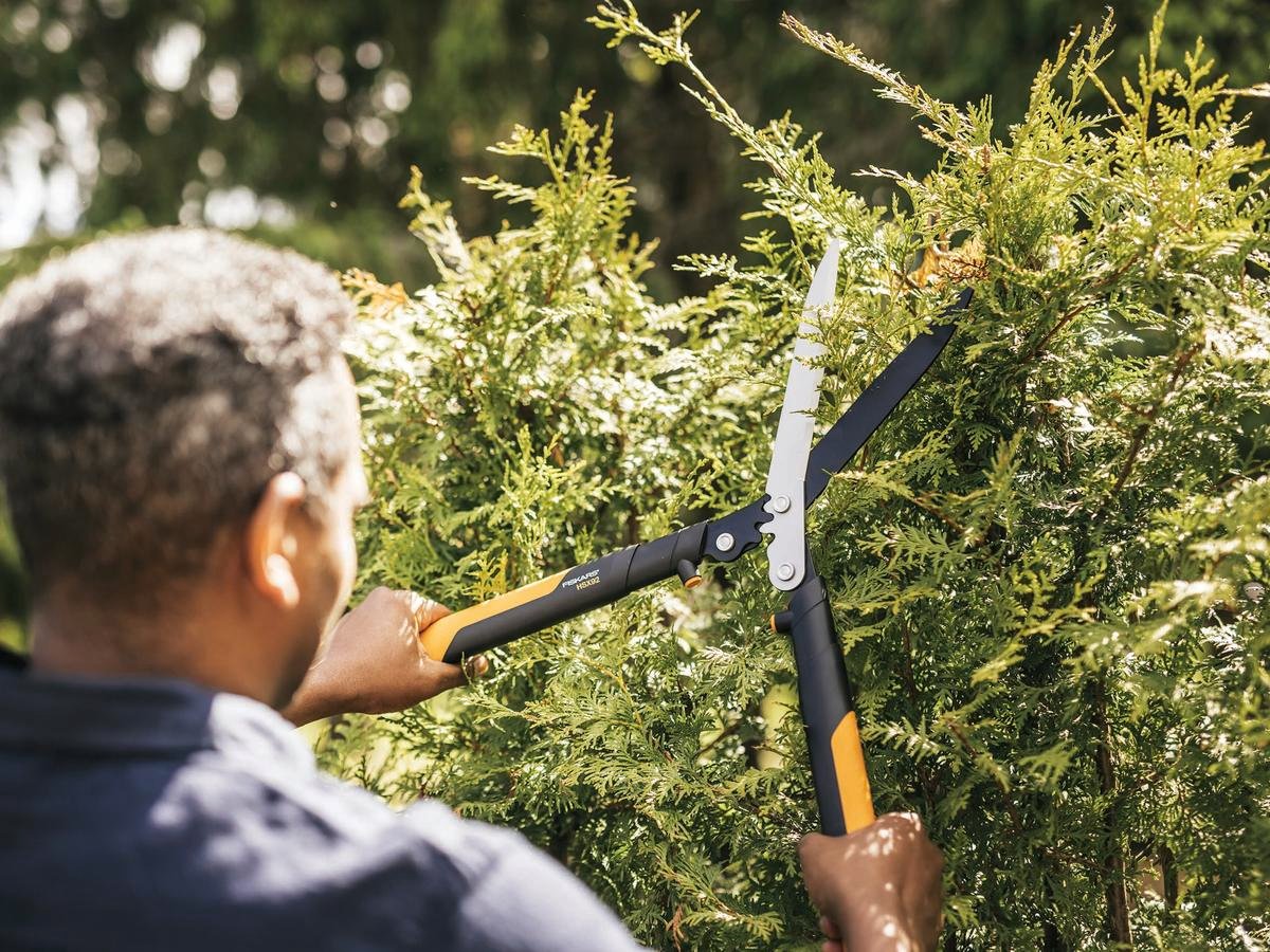 Four Ways to Maintain Your Garden With Fiskars Bunnings Australia