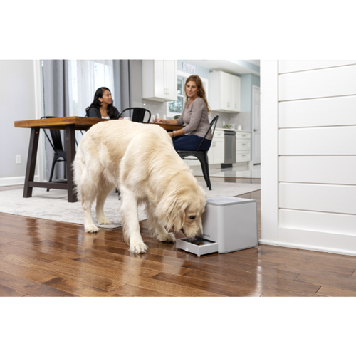 PetSafe® Teach & Treat Remote Reward Trainer for Training Dogs ...