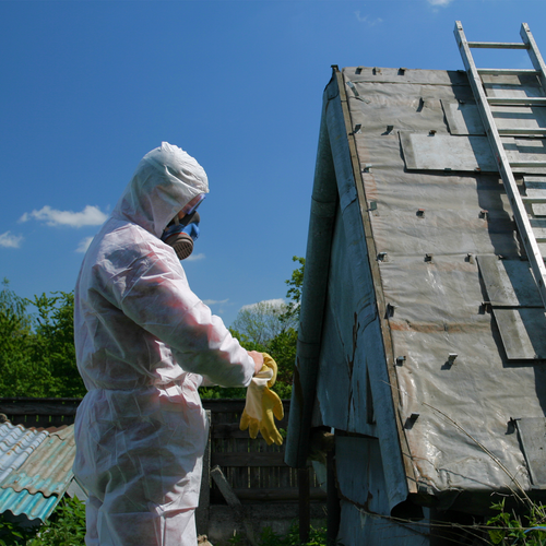 Pro-Val PP Single Layer Disposable Coverall - Size Large - Bunnings ...