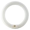 Philips G10 Fluro 1285Lm Cool White 22W Circular - Bunnings Australia