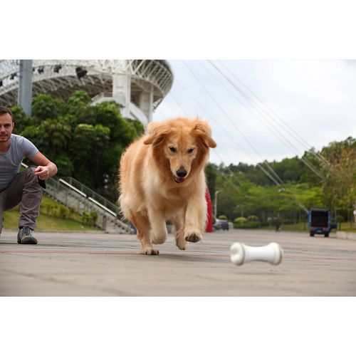 Cheerble Wicked Bone App Controlled Rechargable Remote Moving Dog Toy ...