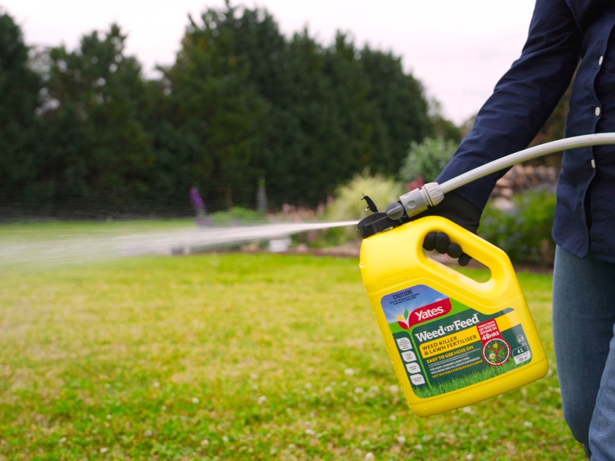 Yates Weed N Feed: The First Step In Your Lawn Care Routine - Bunnings ...