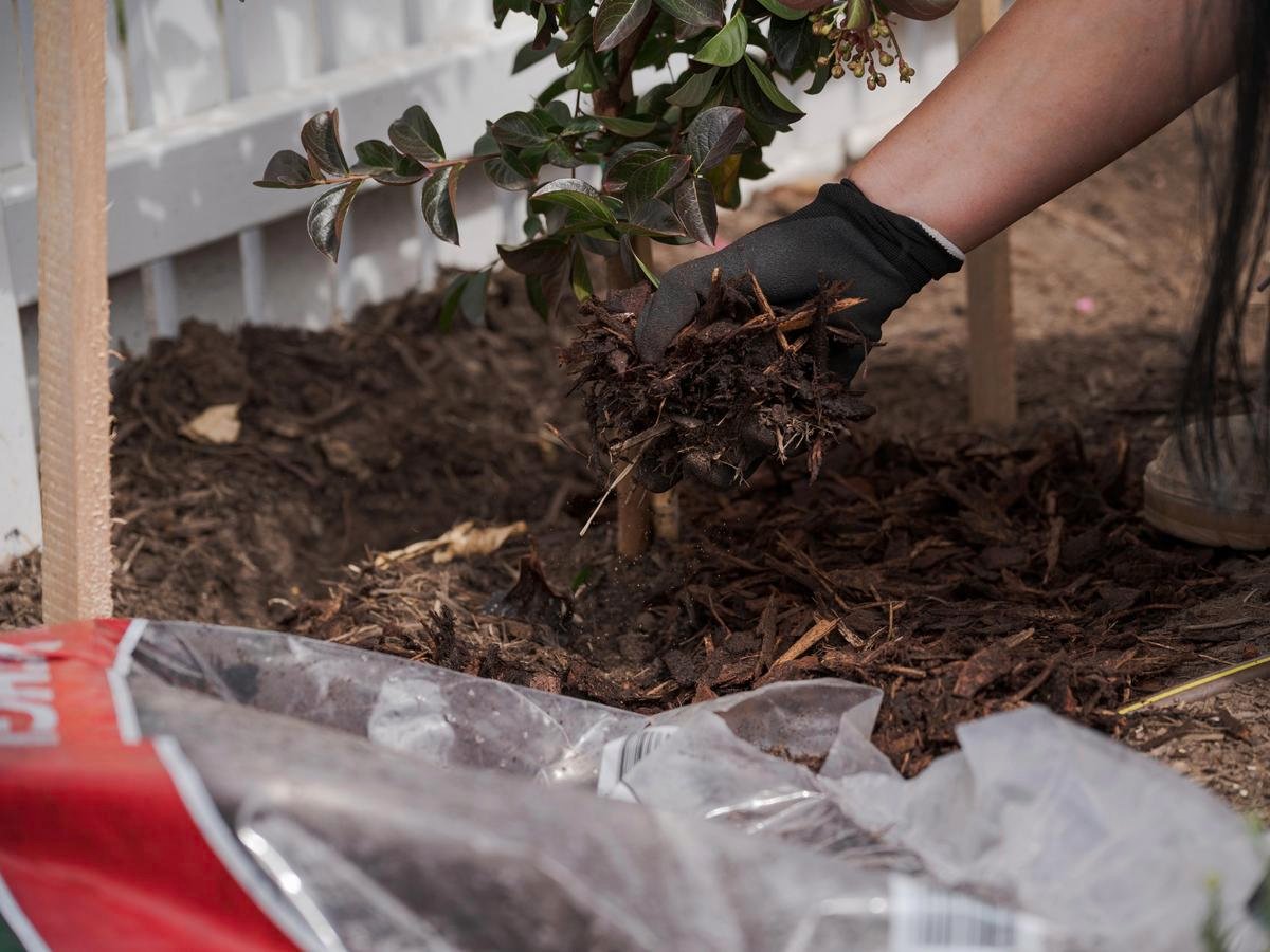 Eight Tips For Saving Water - Bunnings Australia