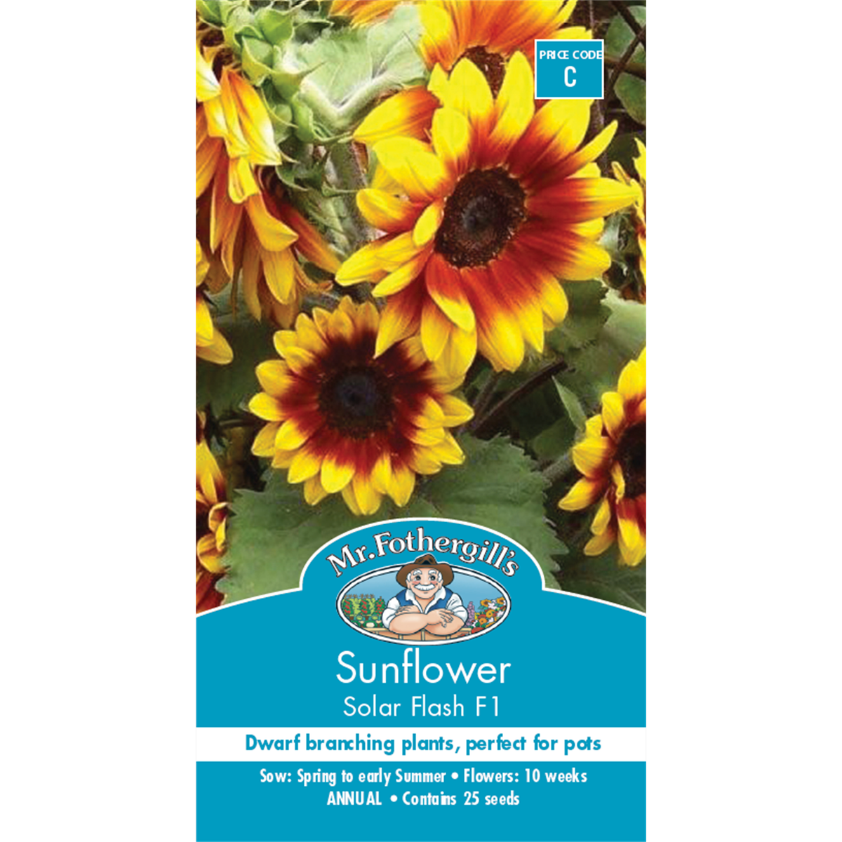 Mr Fothergill's Sunflower Solar Flash Flower Seeds - Bunnings Australia