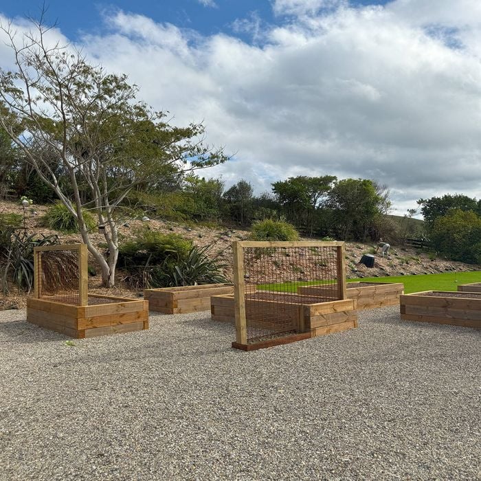 Natural Paving 1144 x 806mm Cream Path And Vehicle Paver - Bunnings ...