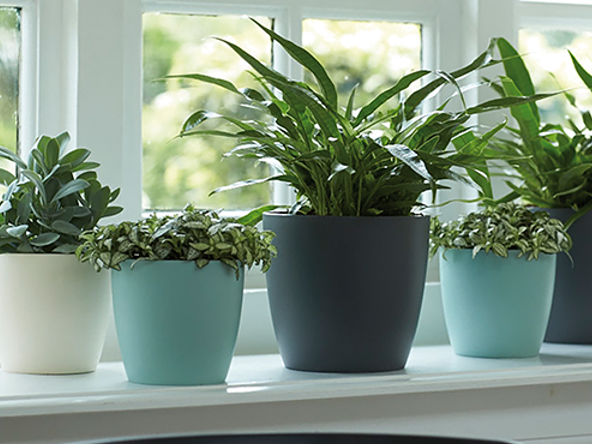 Bunnings indoor pots store