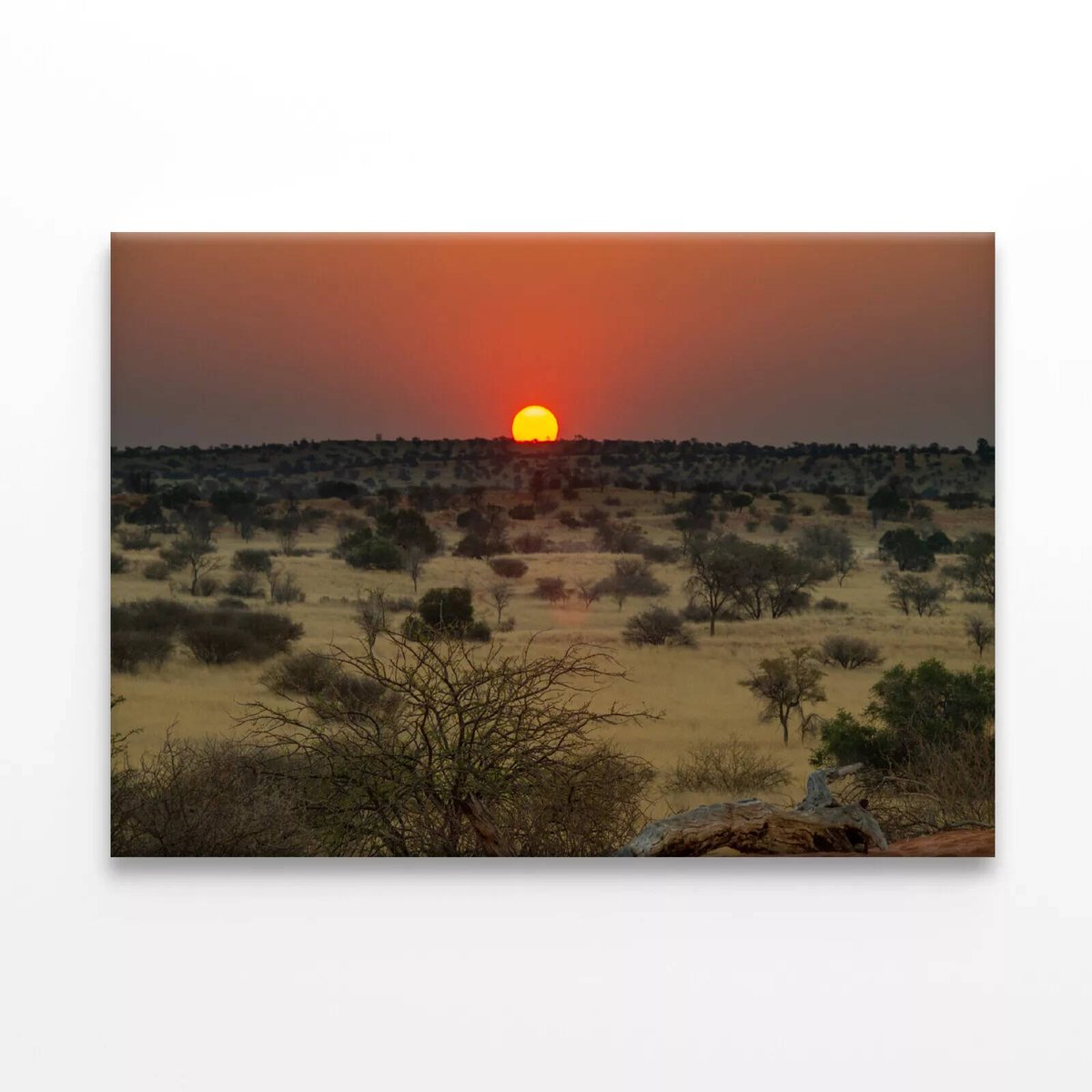 Nature View with Trees & a Sunset Print 100% Australian Made 120 x 90cm ...