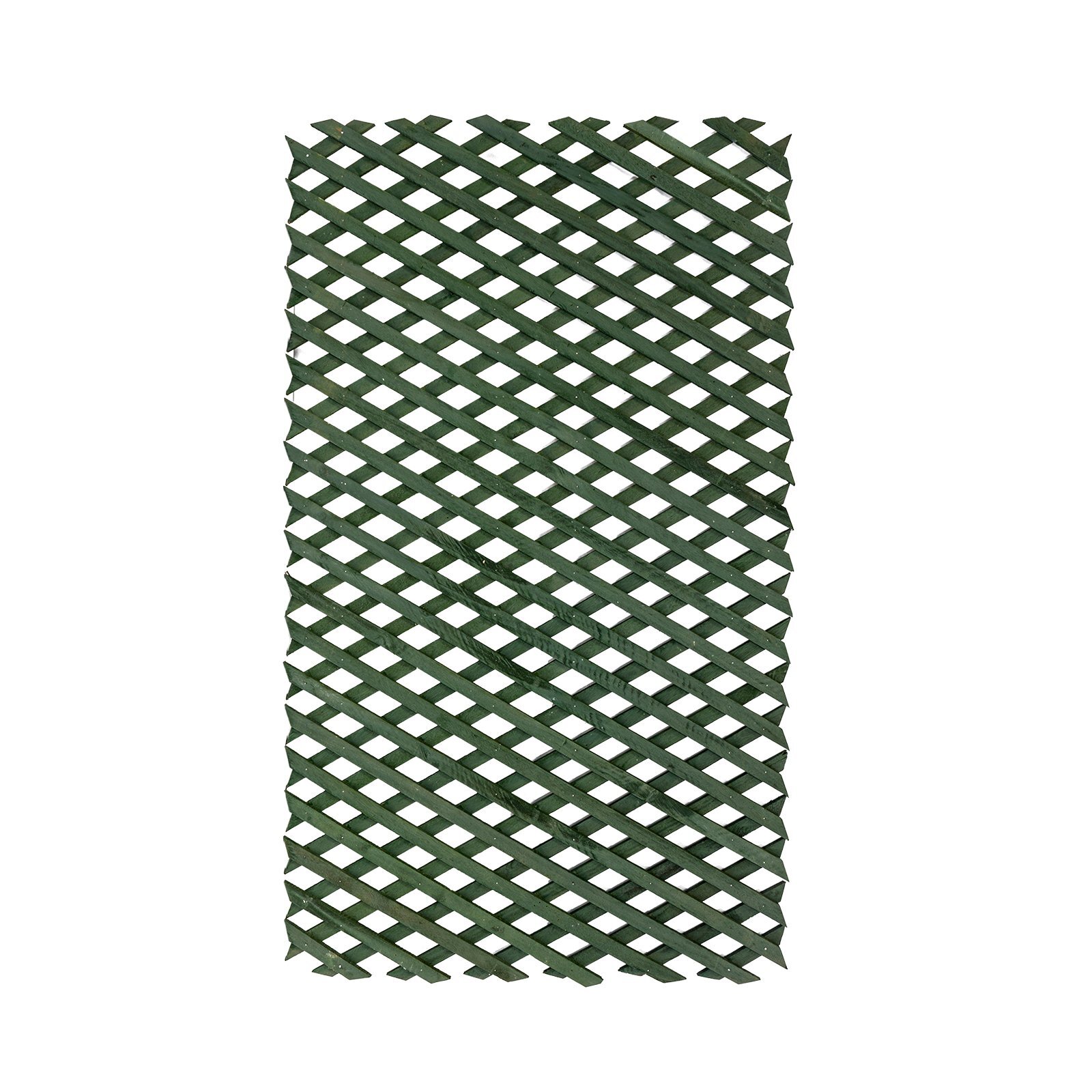 Lattice bunnings store