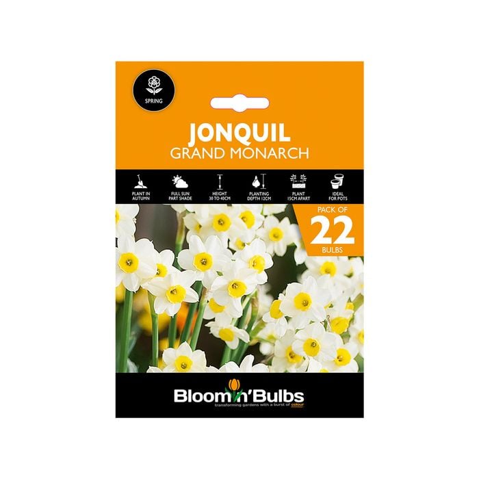 Bloomin' Bulbs Jonquil Grand Monarch - Narcissus jonquila - 22 Pack ...