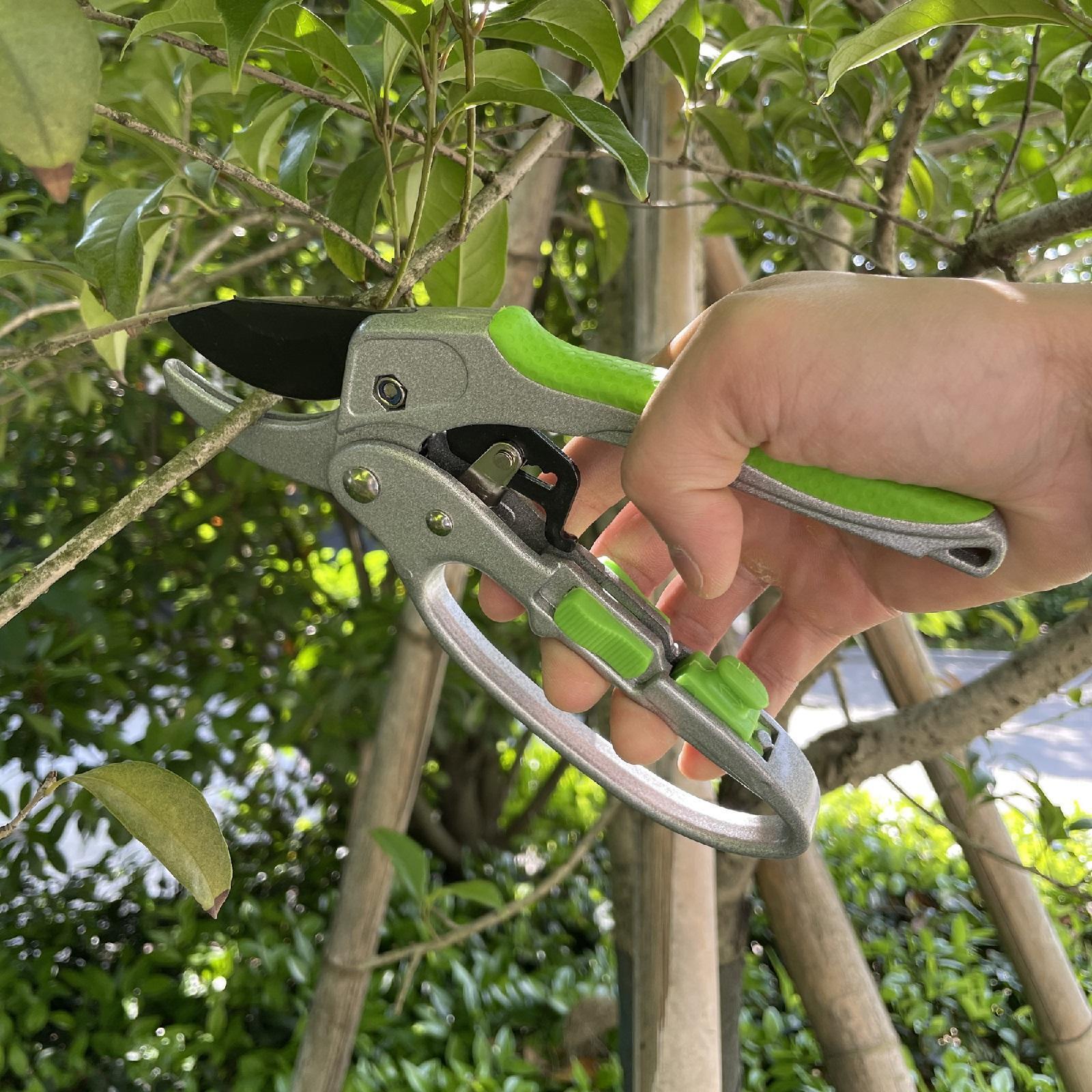 Saxon Ratchet Pruner Bunnings Australia