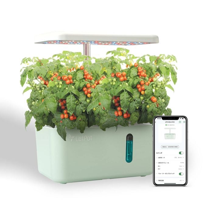 LetPot Mini 5 Pod Smart Hydroponic Garden - Bunnings Australia