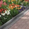 Jack 1180 x 130mm Galvanised Steel Interlock Garden Edging - Bunnings ...