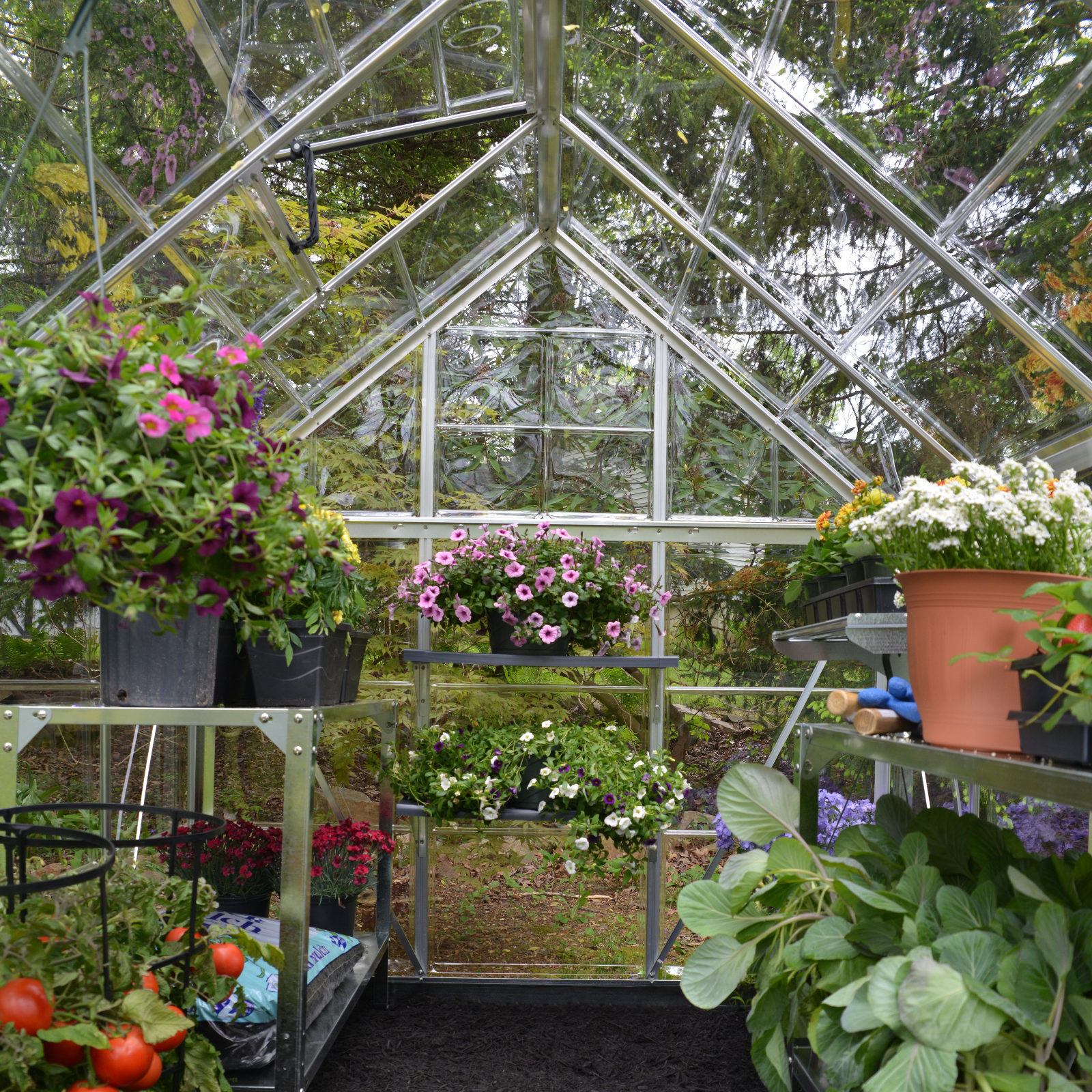 Bunnings greenhouse store