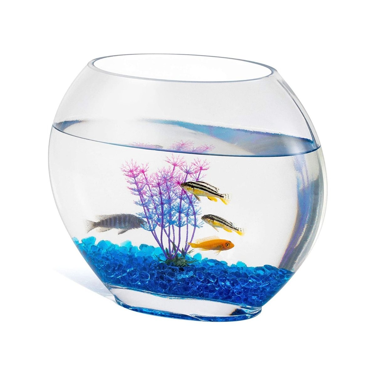 Hygger Mini Glass Oblate Fish Bowl Kit - HG-975-Black - Bunnings Australia