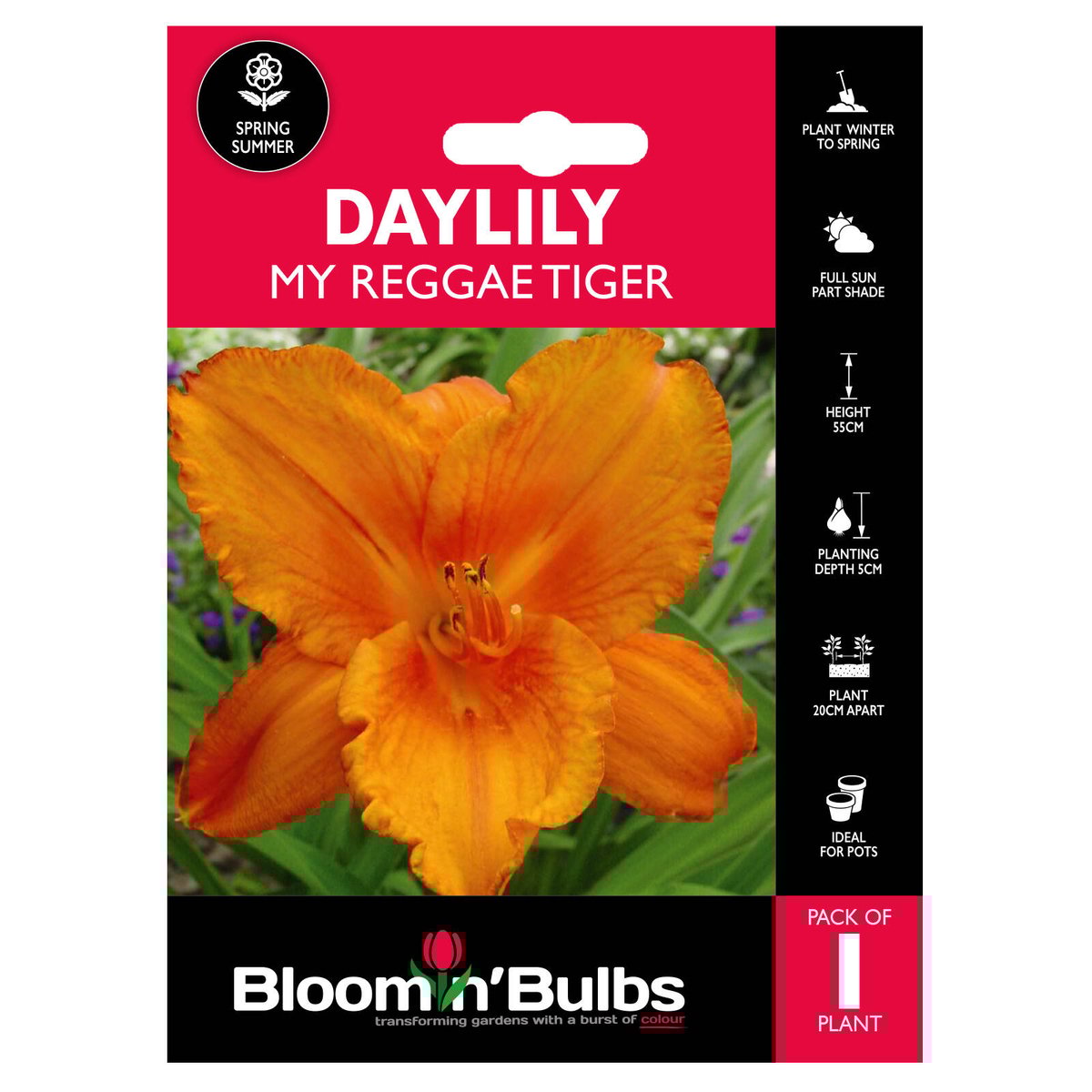 Bloomin' Bulbs Summer Red Daylily My Reggae Tiger - 1 Pack - Bunnings ...