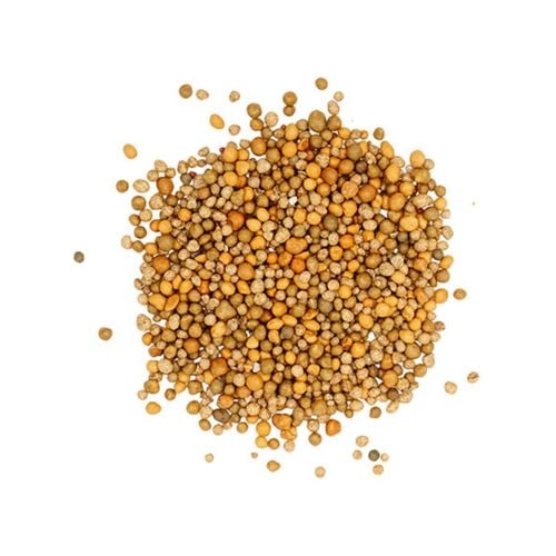 Scotts Osmocote 2kg Roses, Gardenias, Azaleas and Camellias Controlled ...