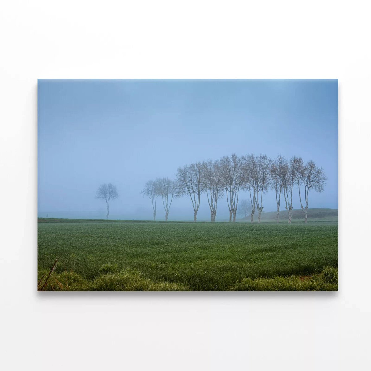 A Grassy Field with Trees, Sky Print 100% Australian Made 120 x 90cm ...