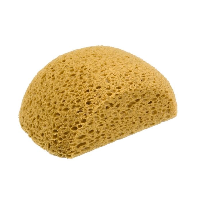 DTA Turtle Back Sponge - Bunnings Australia
