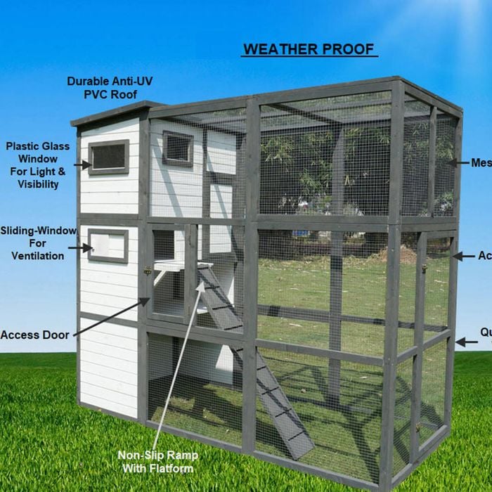 Hamilton Outdoor Cat Enclosure - Bunnings Australia